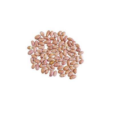 Product | RASAN | Grocery and FMCG products wholesale in Nepal
